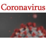 Update on the Coronavirus - Door Shakespeare